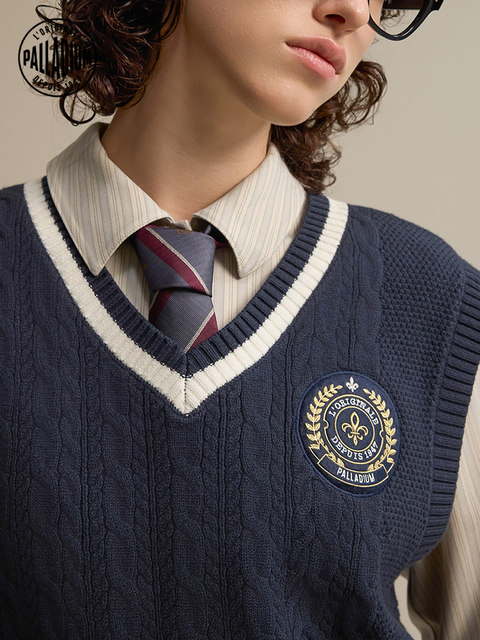 PALLADIUM Palatin V-neck Sweater College Style Youth Women's Vest ...