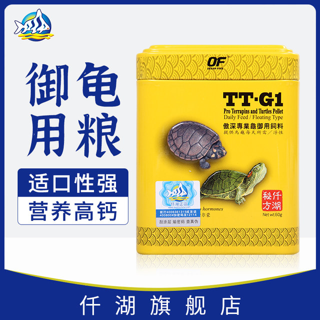 Qianhu Little Turtle Feed Brazilian Turtle Money Turtle Food Living ...