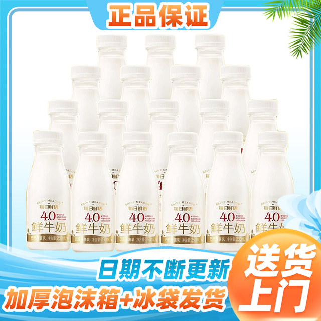 Mengniu Daily Fresh Milk 250ml bottle full-fat high-end breakfast pasteurized low-temperature ...