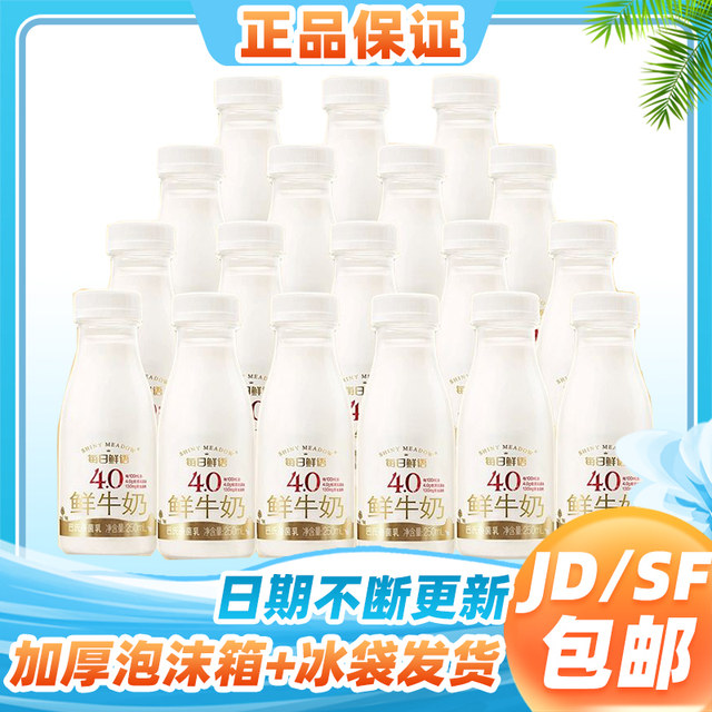 Mengniu Daily Fresh Milk 250ml bottle full-fat high-end breakfast pasteurized low-temperature ...