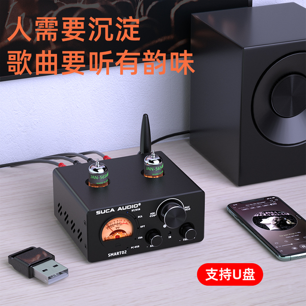 Small Bluetooth Desktop Amplifier - High-End Bile Preamp | Suca audio ...