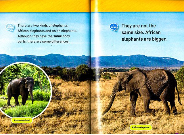 National Geographic English version of the United States graded reading ...