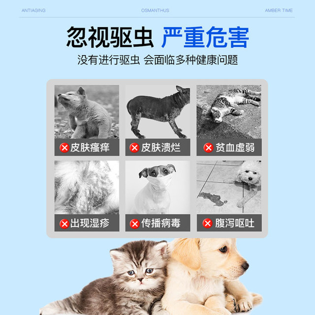 Dog anthelmintic medicine for internal and external use, special non ...