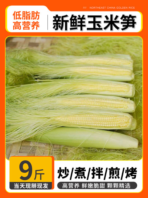 Fruit corn bamboo shoots fresh mini small corn core baby babies must be ...
