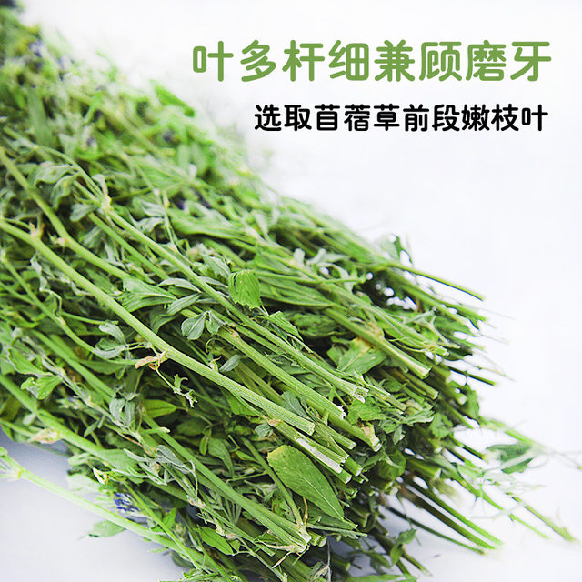 Alfalfa rabbit food for young rabbits purple flower hay edible food for ...