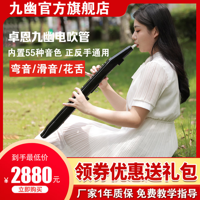 Zhuoen electric blowpipe YH501S domestic Jiuyou electronic blowpipe ...