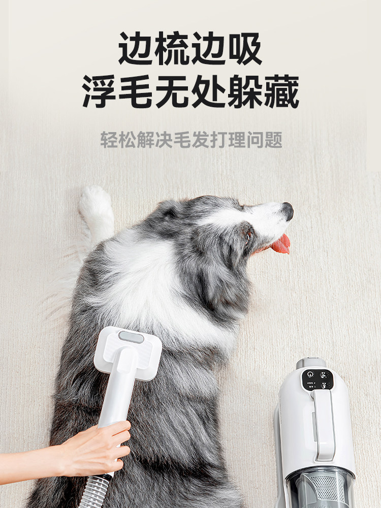 Sèche-cheveux Master Ai pour Animaux - Souffleur pour le toilettage de ...