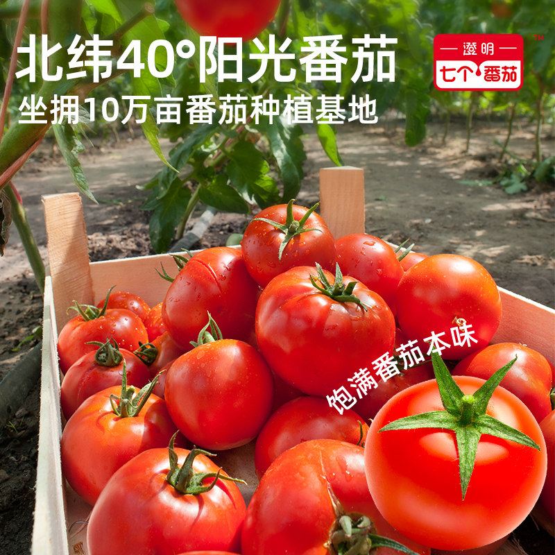 Seven Tomato Hot Pot Base - Spicy Noodle Soup Pack for Commercial Use