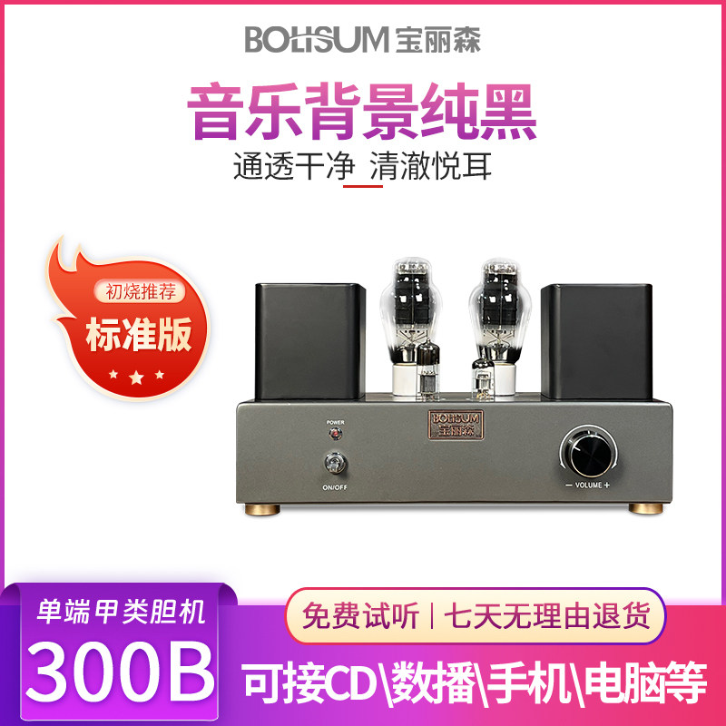 Bolisum 300B Röhrenverstärker - Reiner Class-A-Single-Ended-Audioverstärker