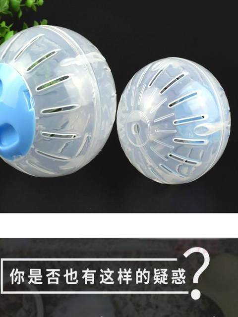 Hamster running ball sports rolling ball golden bear transparent ...