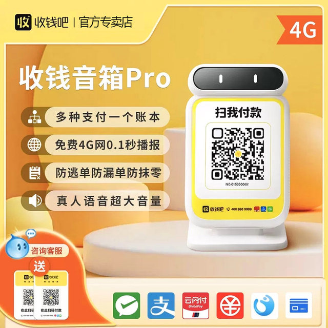 Collect money, collect money audio, remote payment, WeChat Alipay QR ...