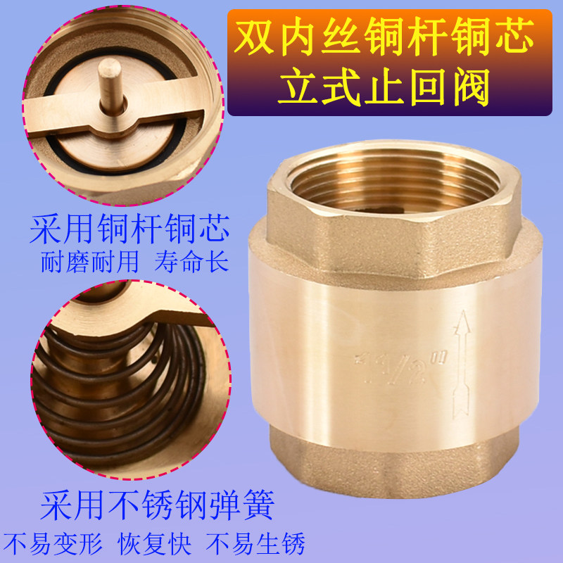 Wliangu Brass Vertical Check Valve - 1, 1.2, 1.5, 2 Threaded