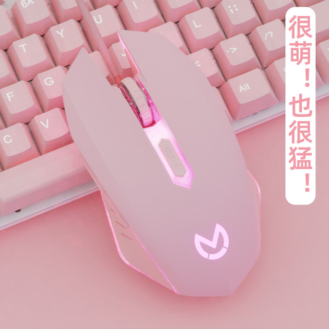 Sakura Pink Mouse Wired Girls Home Office Desktop Laptop Computer with ...