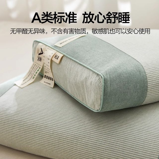 Hailan House Buckwheat Pillow Adult Buckwheat Shell Cortex Cervical ...