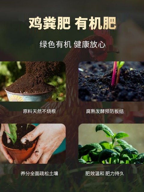 Chicken manure fermentation organic fertilizer Vegetables Vegetable ...