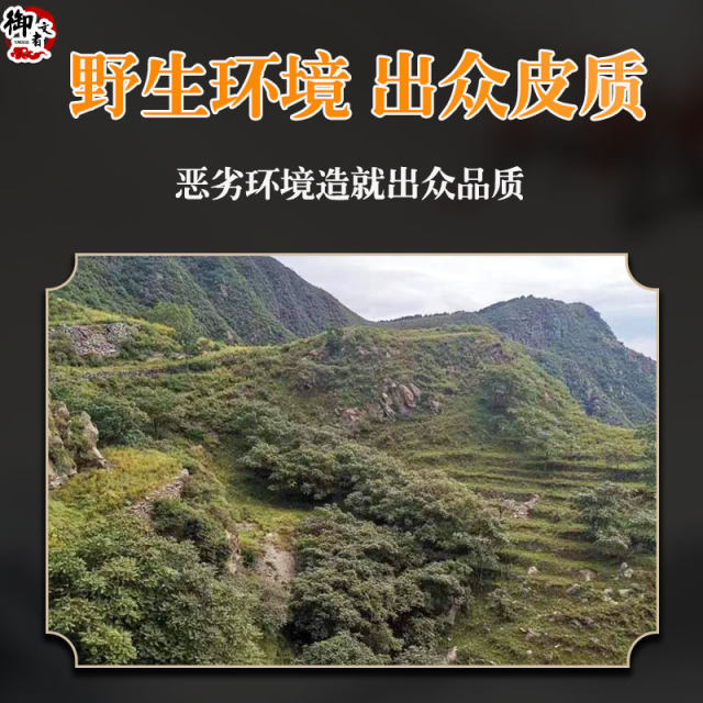 Wild Qiu Ziwen Play Walnut Hand Twist Boutique Mountain Walnut Play ...