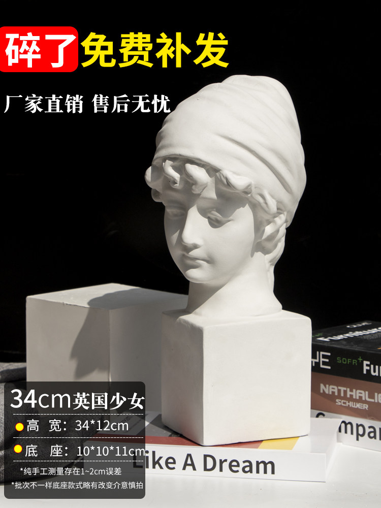 David Plaster Head Sculpture - Art Teaching Aid
