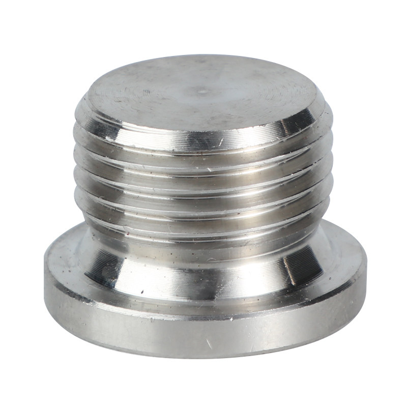 304 Stainless Steel Hexagonal Flange Surface External Wire Plug ...