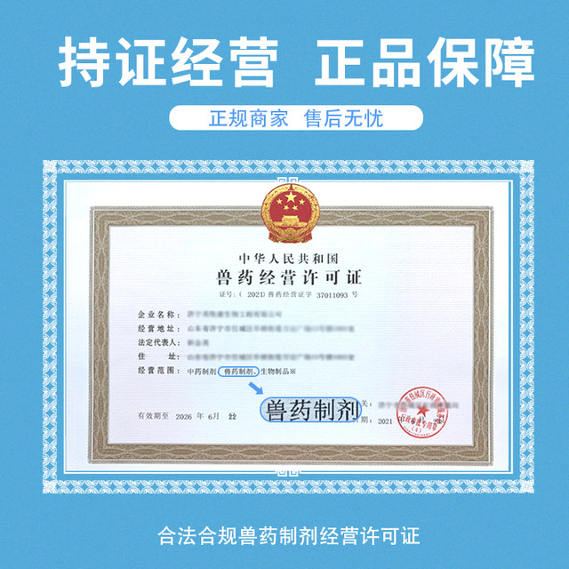 Intervet Dog Vaccine Quadruple Dog Vaccine Two-part Vaccine Puppy ...