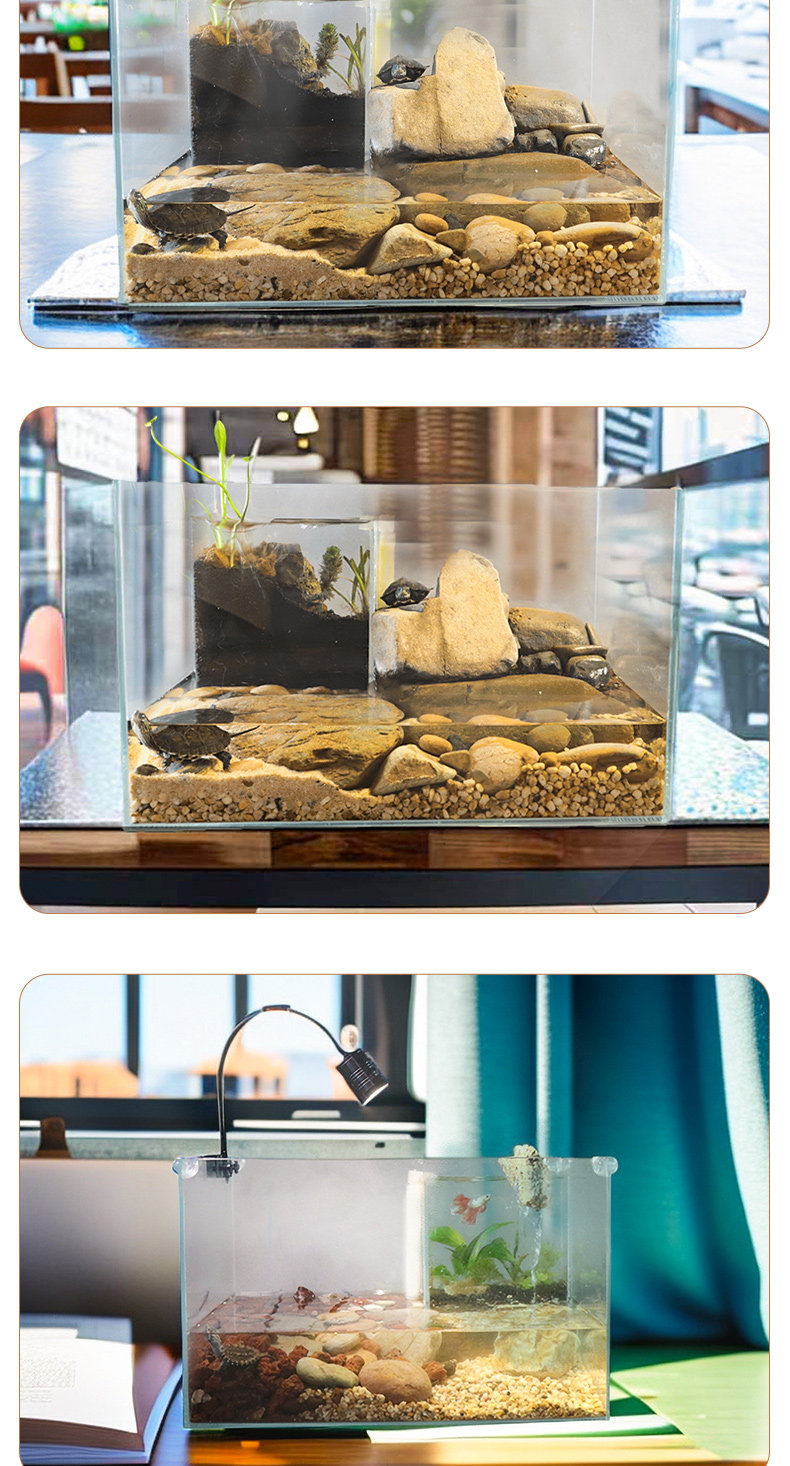 Uncle Li Glass Turtle Tank - Ecological Fish Tank For Turtles | Pile ...
