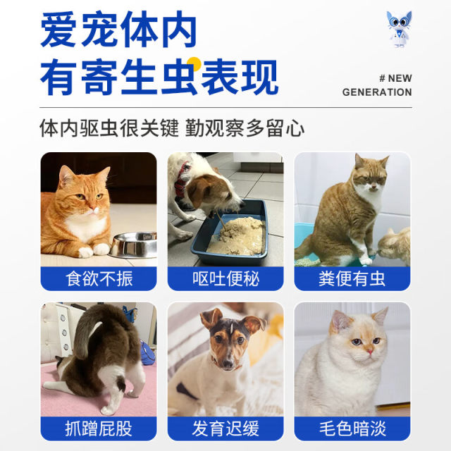 Angelamiao cat anthelmintic medicine for dogs, fenbendazole tablets for ...