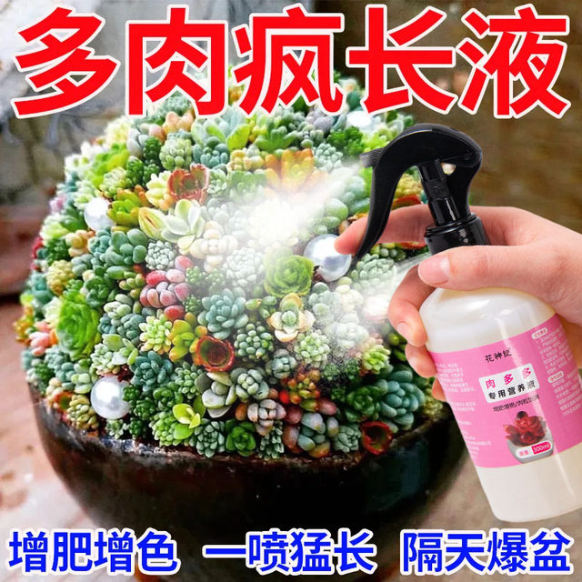 Three days full pot] Meat Duoduo Nutritional Liquid Blasting Sprout ...