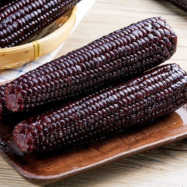 Northeast black waxy corn 10 sweet waxy corn black corn breakfast ...