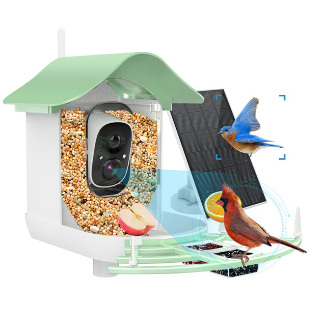 New smart AI bird identification wireless pet feeding equipment outdoor ...