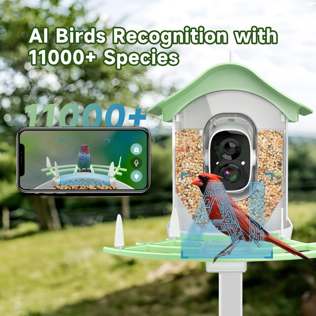 New smart AI bird identification wireless pet feeding equipment outdoor ...