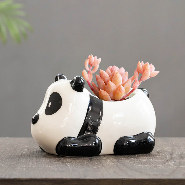 Simple and cute animal succulent flower pots for home gardening, small ...