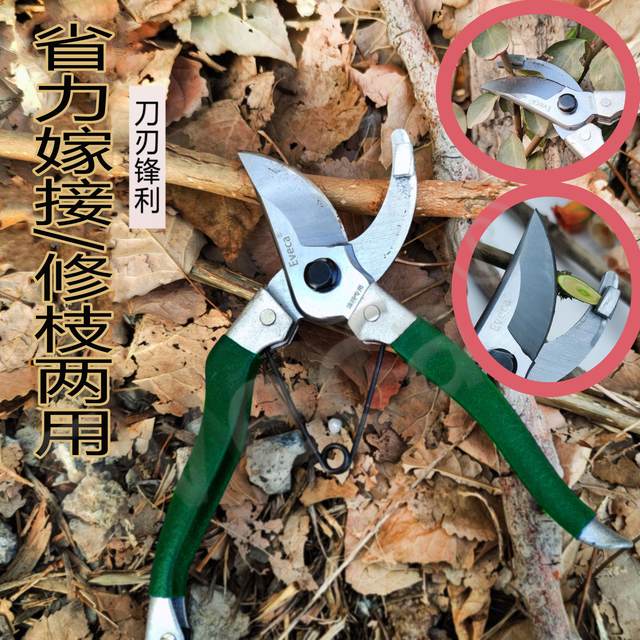 New special grafting scissors multi-function grafting artifact bud ...