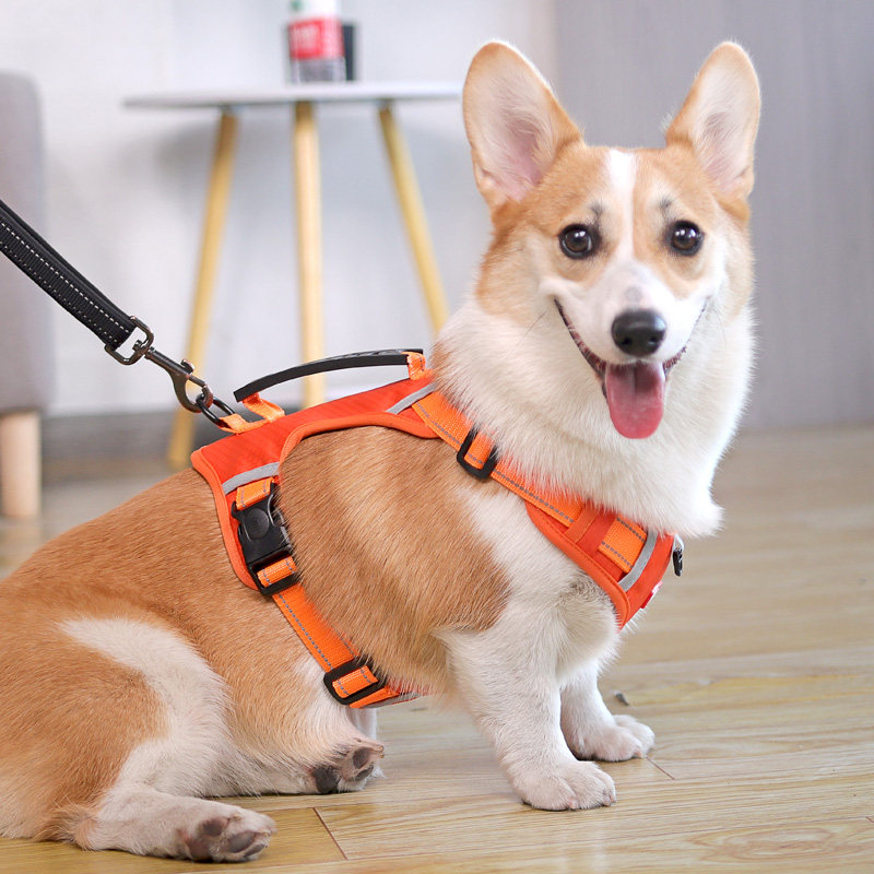 Milk Tea Corgi Dog Chest Strap Vest - Reflective, Adjustable for Medium ...