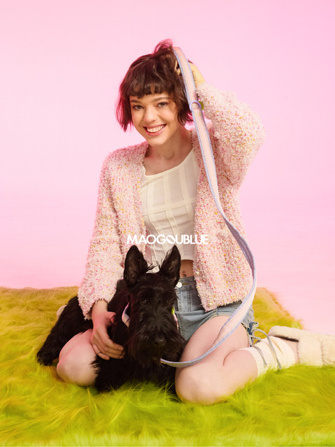 maogoublue cat, dog, blue dog, dog, leash, collar, small dog, dog, neck ...