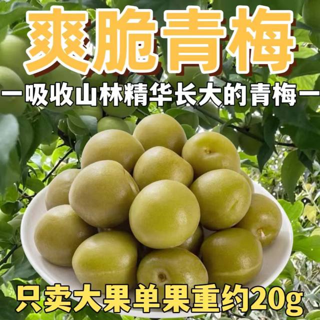 Crispy green plums, crispy green-mouthed plums, independent small ...