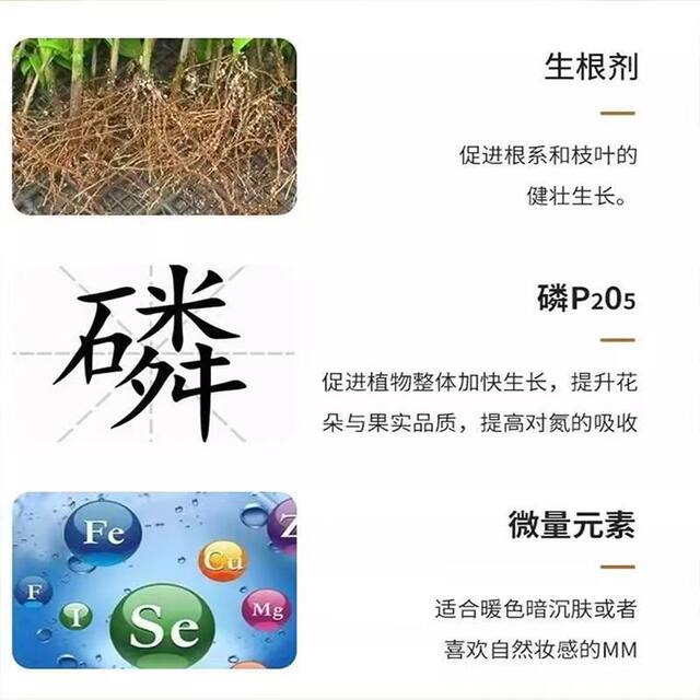 Plant rooting nutrient solution, universal powerful root blasting, root ...