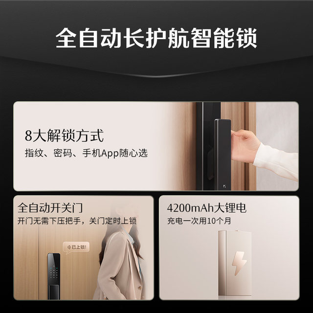 Deschmann password fingerprint lock home anti-theft door fully automatic smart lock induction ...