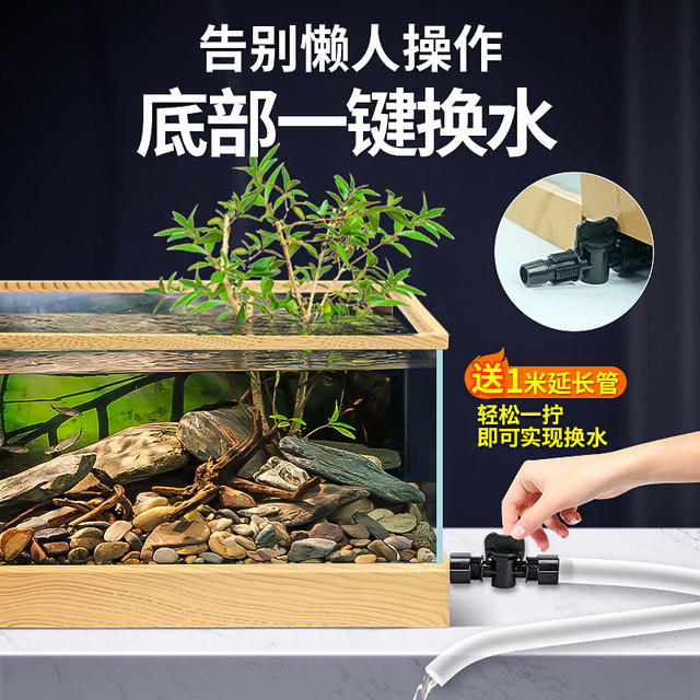 New glass fish tank native South American stream tank landscaping home ...