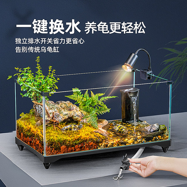 Turtle breeding tank with sunding table ultra -white glass landscaping ...