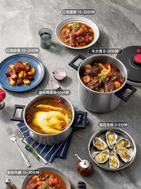 German Carl CS4 liter 120kPa high -pressure pot 7 -liter explosion ...