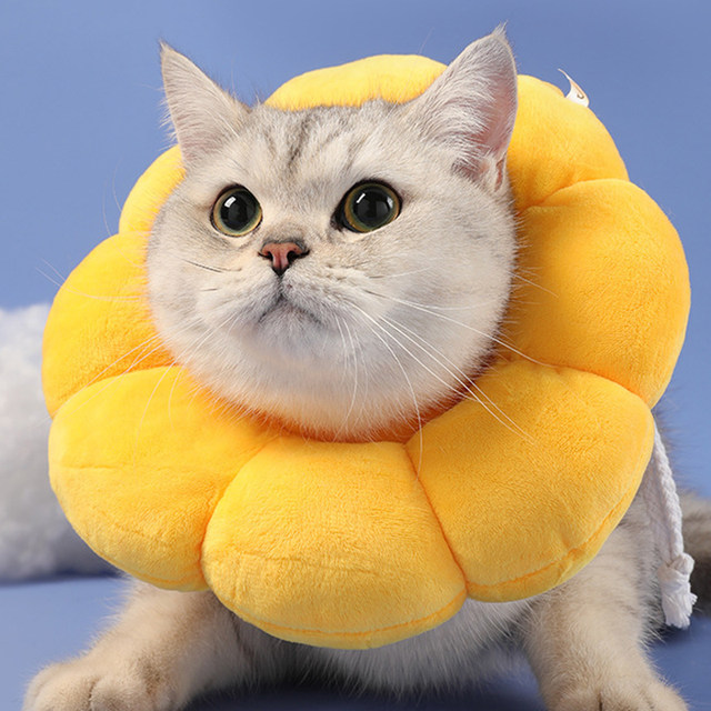 Elizabeth Circle Cat Absorb Anti -Anti -Licking Anti -Flea Cloth Cat ...