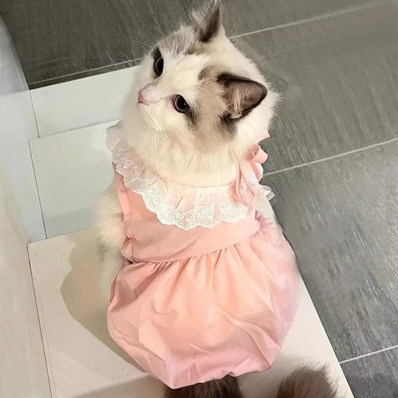 Cat clothes spring and autumn thin cute princess skirt breathable ...
