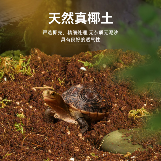 Tortoise hibernation box, dedicated coconut soil reptile breeding box ...