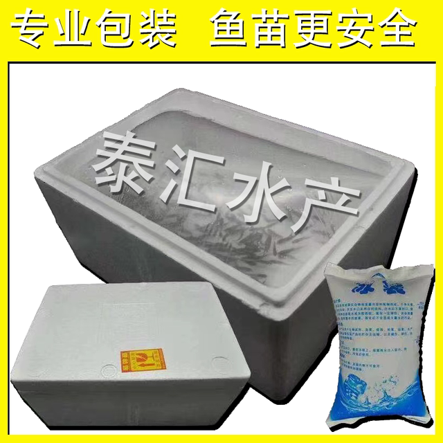 Big mouth catfish fry South Big mouth catfish soil catfish fry ...