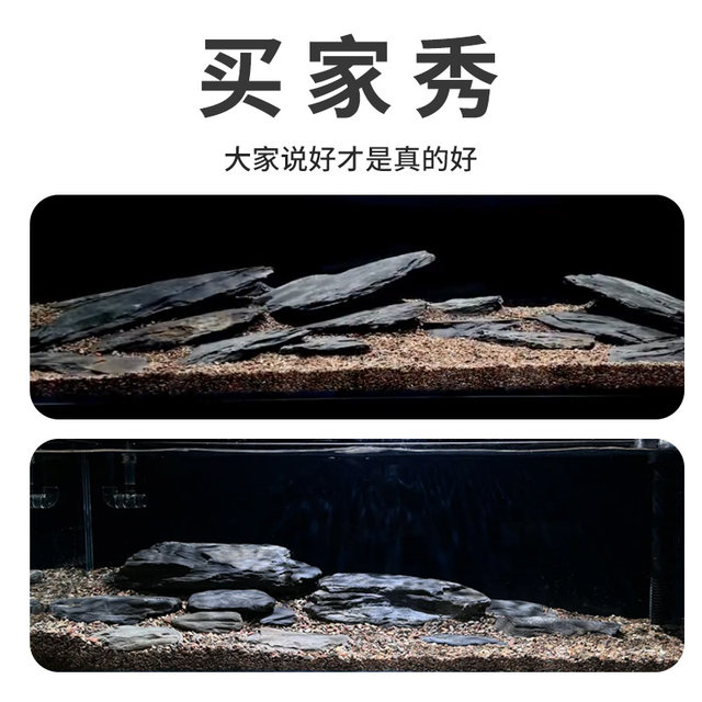 Native stream stone flakes, heather, beautiful tank landscaping, large ...