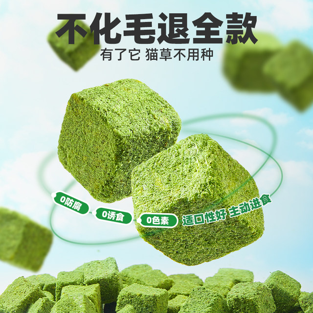 Cat -frozen cat -grained cat snack -towning hair wool -to -teeth native ...