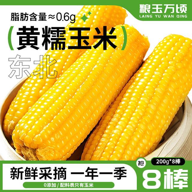 Northeast sweet and glutinous corn fresh yellow glutinous corn low-fat ...