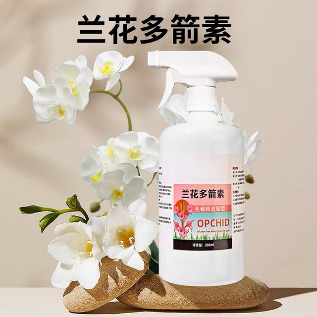 Orchid multi -arrows Phalaenopsis flowers and flowers extended flowers ...