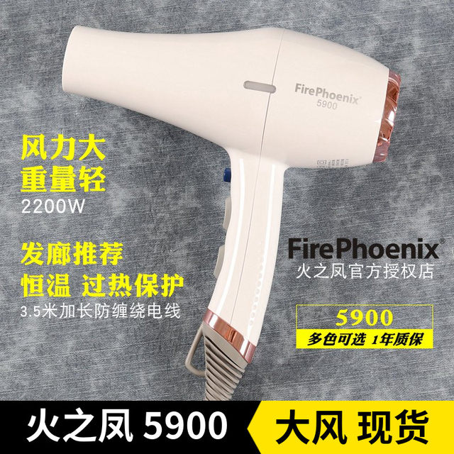 Fire Phoenix Hair Dryer 5900 Large Wind Power Quick Drying Home High ...