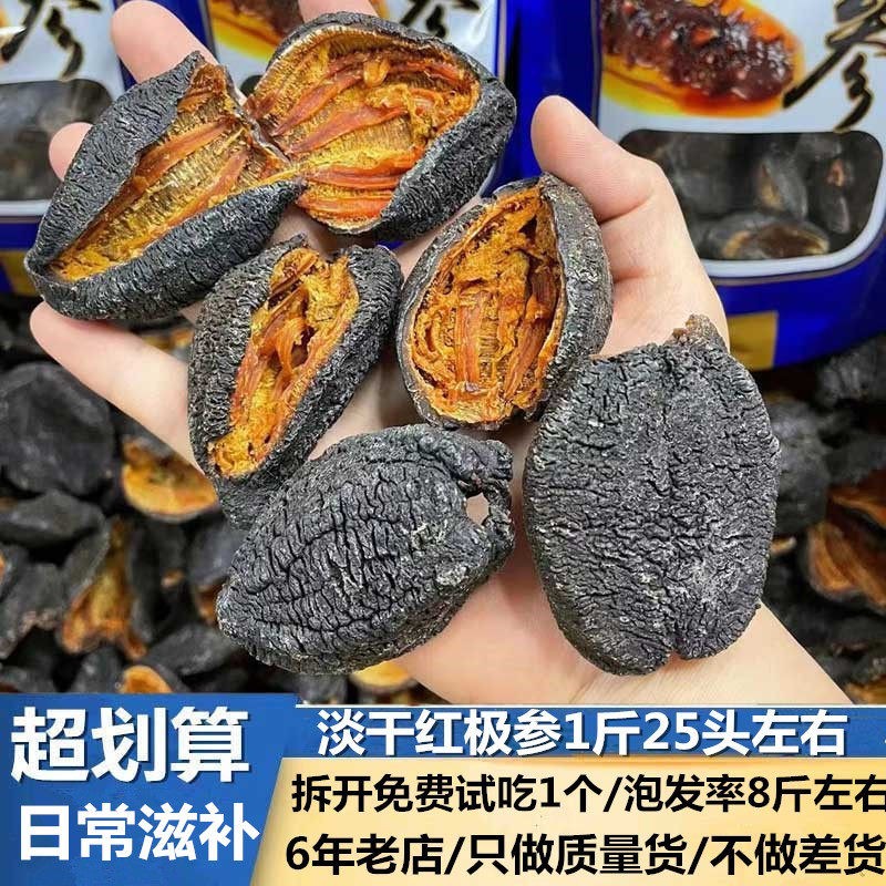 Ketimun Laut Kanada 500g - Ginseng Merah Arktik, Kering Ringan, 25 Kepala