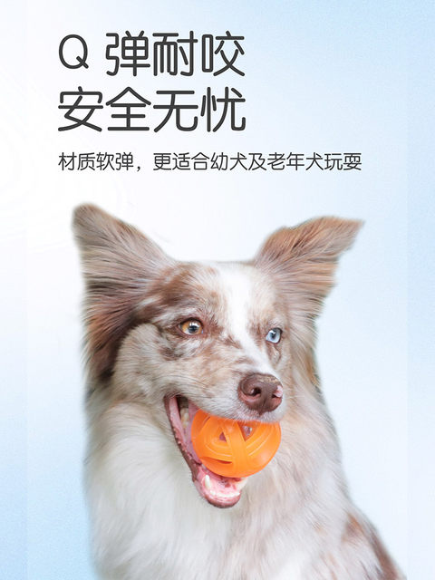 QZee Guo GIGWI dog toy Feng Rong leaks the vinslancholy ball, grinding grinding teeth, small ...